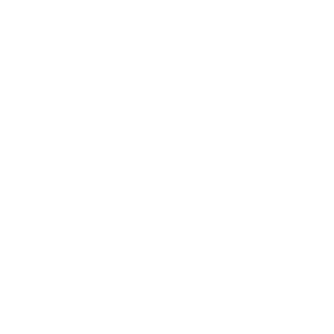 BERG CAFE FLOH